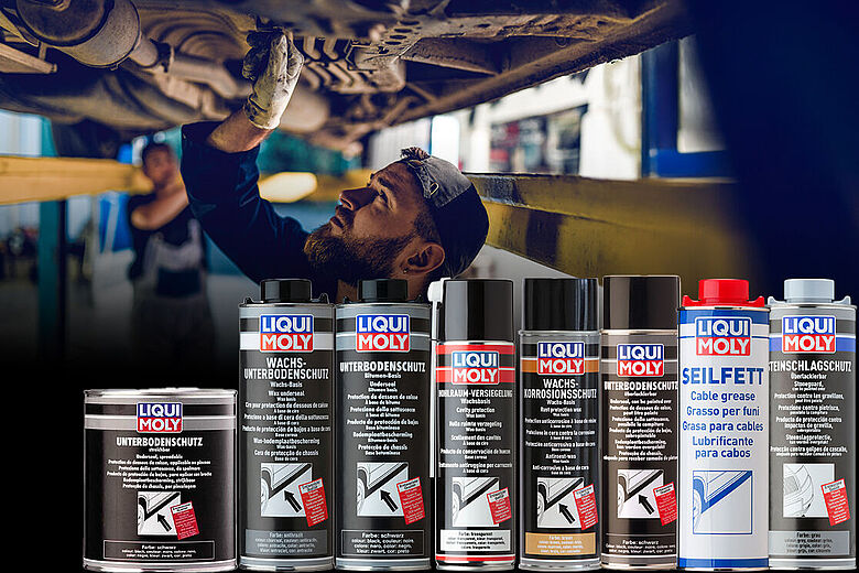Motor oils, additives and car care from LIQUI MOLY | LIQUI MOLY